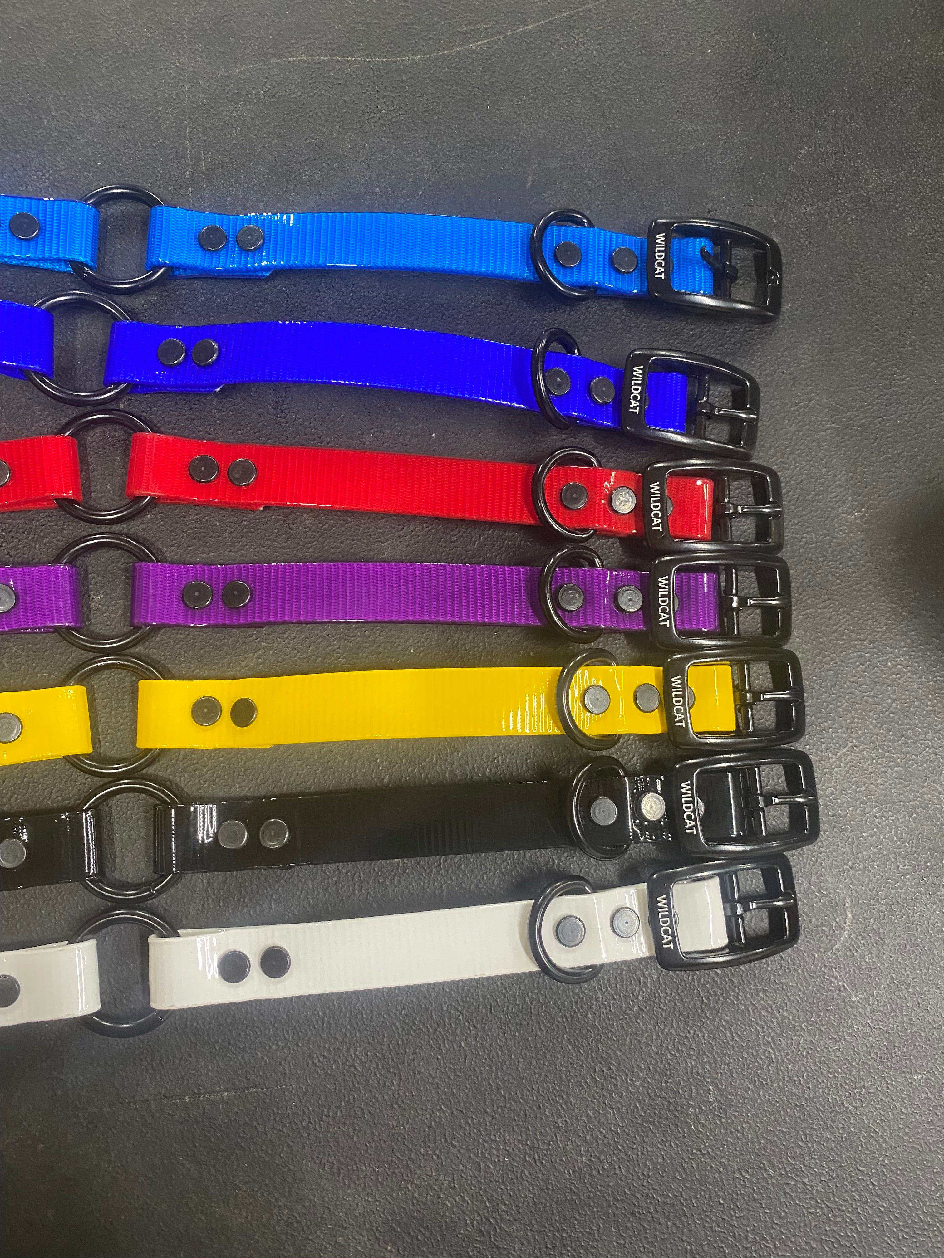 3/4 Dayglo Collars – Western Ky Hound Supply